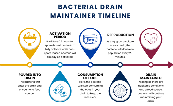 How Do Biological Drain Maintainers Work? - State Industrial Products